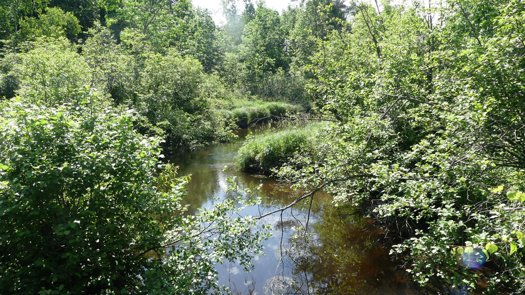 Clam River State Fishery Area - WRTU